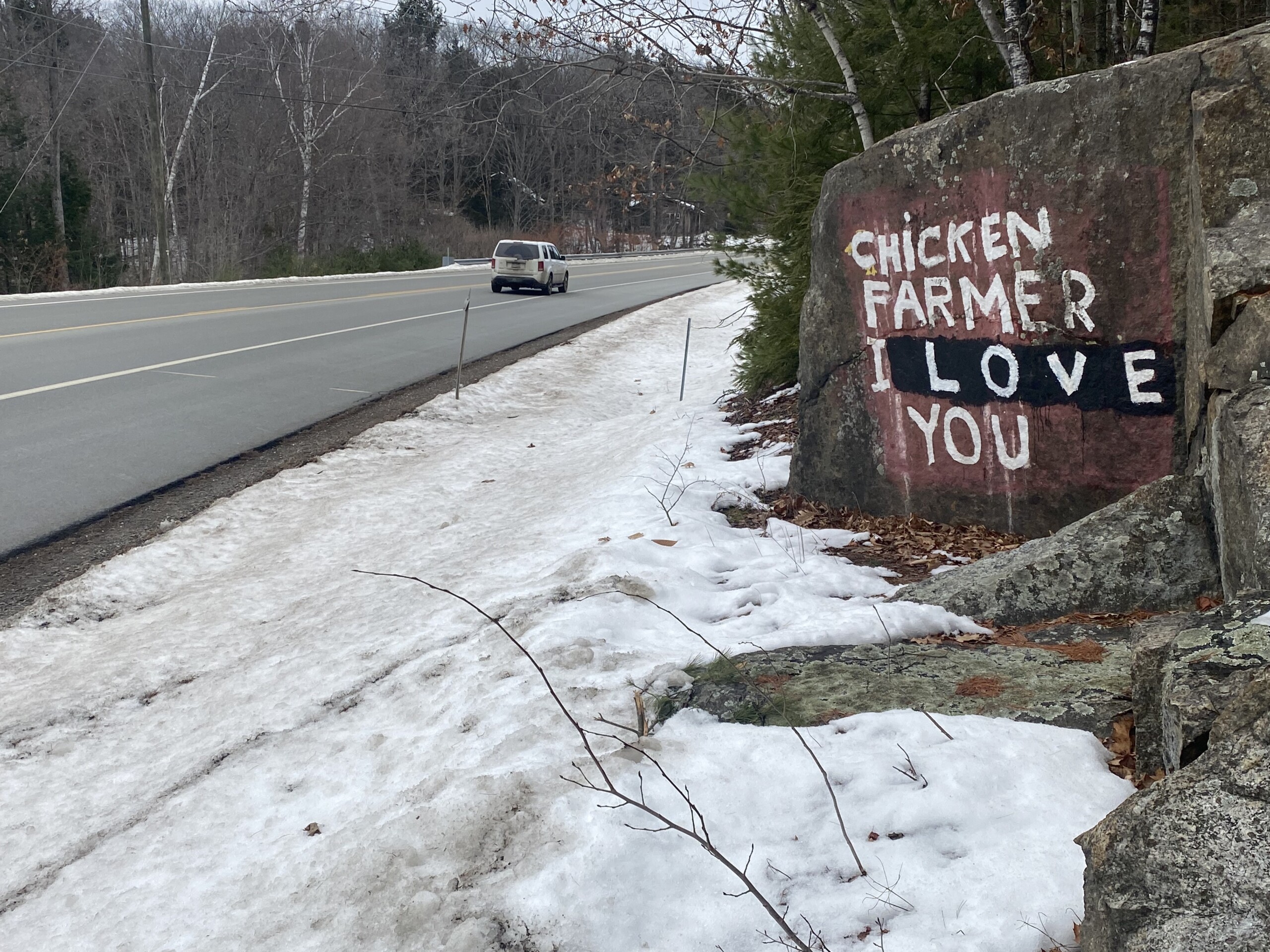 Live Free: Chicken Farmer, We Love You (Still) - New Hampshire Magazine
